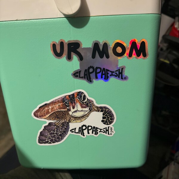 Barracuda Sticker, 10 Inch - Etsy