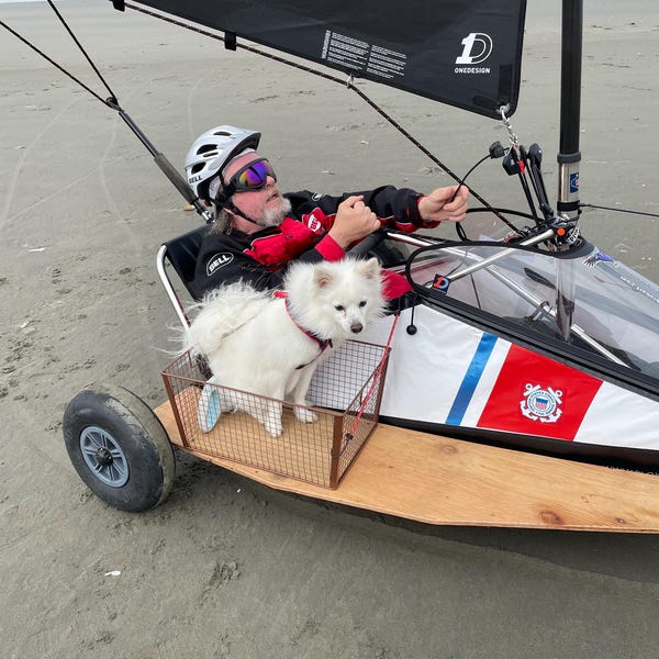 Holo Lone Wolf Howling Sticker Stamp Rainbow Decal Laptop Shiny ...