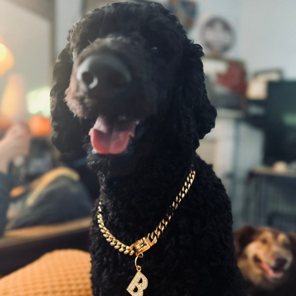Cuban Dog Chain, Gold Dog Collar, Engraved Metal Letter, Custom Gold ...