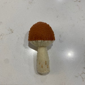 Swamp Felt True Toad PDF Pattern Download Sewing Tutorial - Etsy