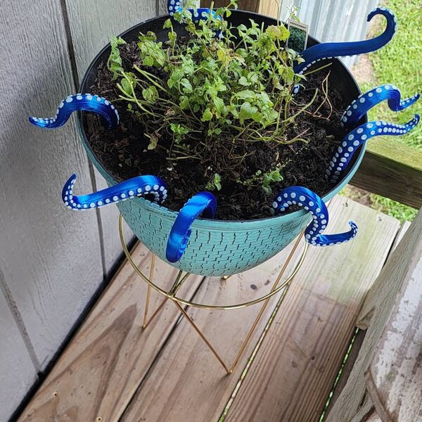 House Plant Accessories Decor - Set of 8 Sea Monster Tentacles - Etsy House Plant Accessories Decor - Set of 8 Sea Monster Tentacles - Etsy