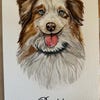 36 Set Dog Instagram Highlight Icons Unique Watercolor Dog Icons Pet ...