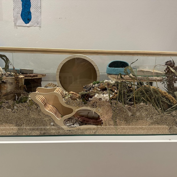 Hamster Stairs, Staircase, Ladder, Bridge, in Natural Wood (hamster ...