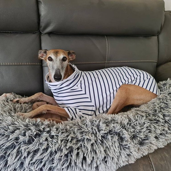 Sewing Pattern for Italian Greyhound Coat / Jacket / Waterproof ...