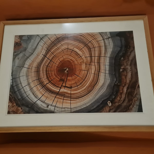 Cross Section, Large Tree Rings Print, Brown Coloured Tree Print, Tree ...