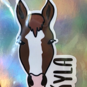 Custom Horse Sticker Waterproof Vsco Laptop Water Bottle - Etsy