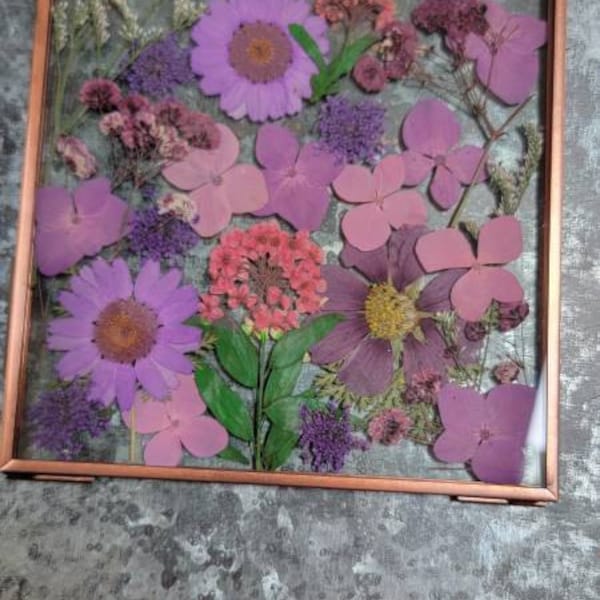 DIY Pressed Flower Frame Art Kit: Make Your Own Herbarium Art Floating ...