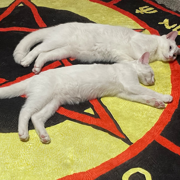 Dungeons Dragons Rug, Azuregard Map, DND Map Rug, Game Map, Boys Room ...