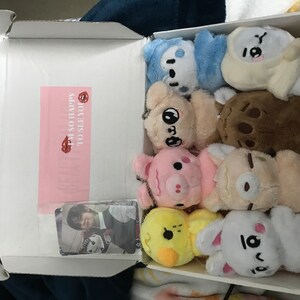 Cute Kpop TXT Inspired Mystery Box for MOATXT Photocardsgift for Kpop ...