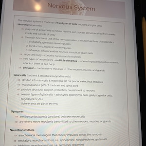 GI Disorders Bundle Nursing Notes Student Study Guides Digestive System ...