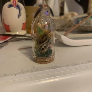 Miniature Specimen Diorama Terrarium - Etsy