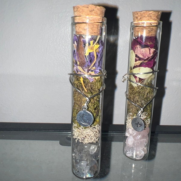 Terrarium Intention Jar, Botanical & Crystal Spell Jar, Fairy Moss Jar ...