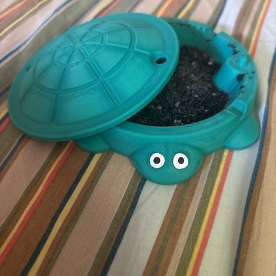 Mini Turtle Sandbox/ashtray - Etsy