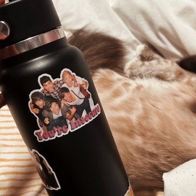 You're Insecure One Direction What Makes You Beautiful Sticker - Etsy