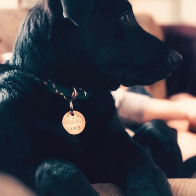 Dog Tag, Camper Dog Tag, Adventure, Personalized Dog Tag, Pet Id Tag ...