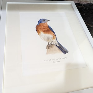 Garden Alphabet Watercolor Nursery Art Garden ABC Print Playroom Decor ...