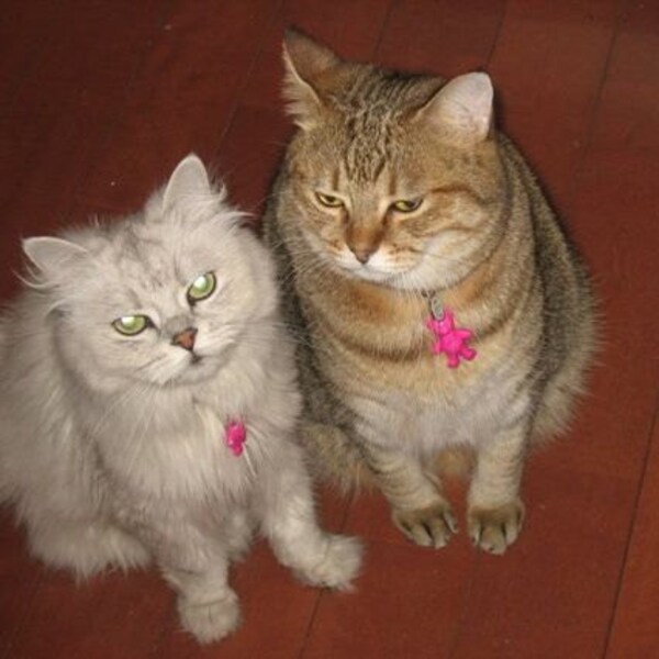 Liberty Tree of Life Fabric - Liberty Quilting Cotton - Colourful ...