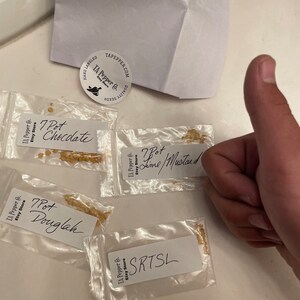 15 Numex Pinata Pepper Seeds isolated-padded Envelope - Etsy