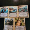 24 Catan Development Cards- English Version -fan Made Unofficial ...