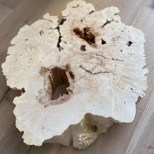 Maple Burl Wood. Big Leaf Maple Burl Resin Slab. Live Edge Wood. Burl ...