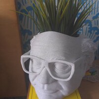 The Original Danny Devito Frank Reynolds Head Planter for House Plants ...