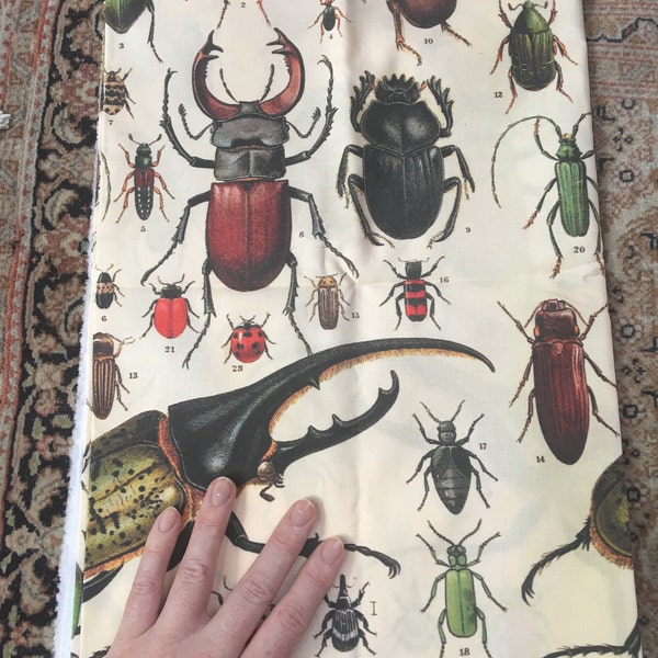 Vintage Beetles Fabric - Beetles Insect Taxonomy Print Engraving Bug by ...
