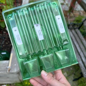 Mosco Chile Pepper Seeds - Etsy