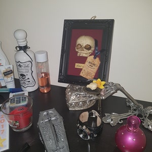 Oddity Fetal Skull display replica Victorian Oddities | Etsy