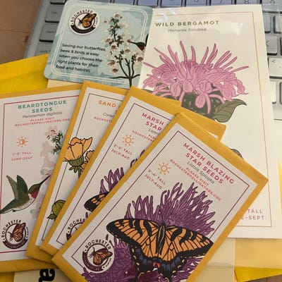 Pollinator Friendly Butterfly Garden Sign, Native Plant Habitat, 9 Inch ...