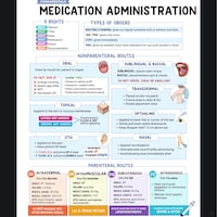 Nursing School Notes Success Bundle: Fundamentals, Medsurg ...