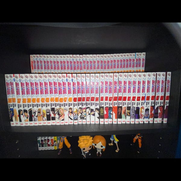 Shelf Riser for Displaying Two Rows of Books on a Single Shelf ...