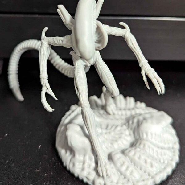 Tavern Barkeep Bar Scene 28mm 32mm Scale Dnd Miniature Dungeons and ...