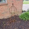 Wrought Iron 25" Cone Topiary Flower Trellis, Metal Plant Climber ...