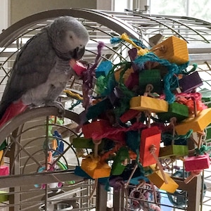 Parrot Toy Extra Large BIRDIE BOREDOM BUSTER Macaw African Grey ...