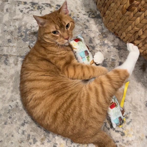 Large Cat Kicker Toy With Ribbons. 12 to 13 Long. Quality Catnip Silver ...