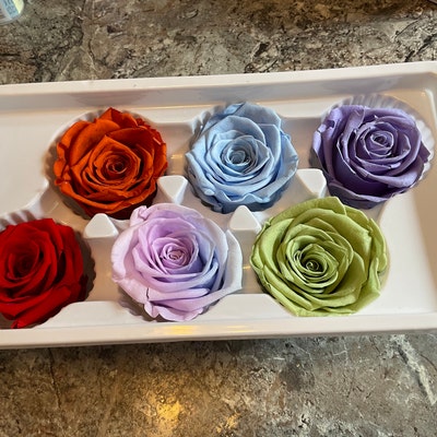 Eternal Roses/ Preserved Roses/preserved Flowers/eternal Flower/eternal ...