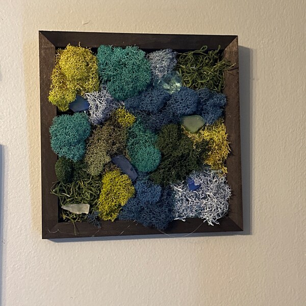 Moss Map, Preserved Moss, World Map, Nature Inside, Reindeer Moss, Cool ...