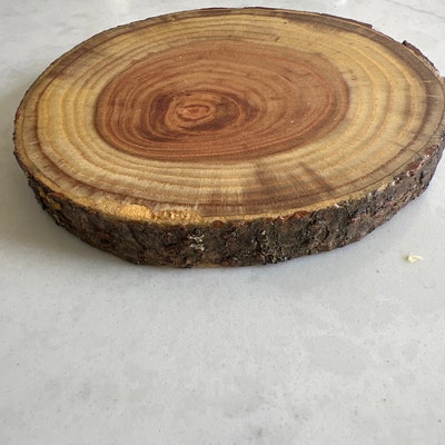 Variety Pack Natural Tree Wood Coasters With Bark 4-pack Coasters for ...