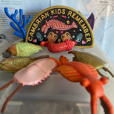 Cambrian Kids Remember Iron-on Patch - Etsy