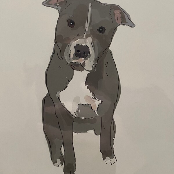 Sheepadoodle Illustration / Doodle Dog Drawing / Pet Lovers Gift / Life ...