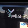 Spoiled Bat Decal Bat Decal Spooky Bitch Spooky Bitches Only Goth ...