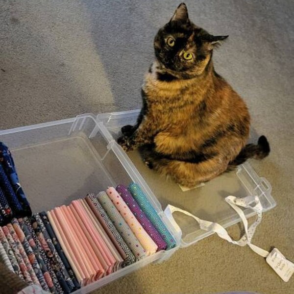 Royal Blue, Native Design, Beadwork Look in Cotton Fabric. - Etsy