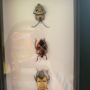 Golden Metallic Stag Beetle cyclommatus Metallifer Deep - Etsy