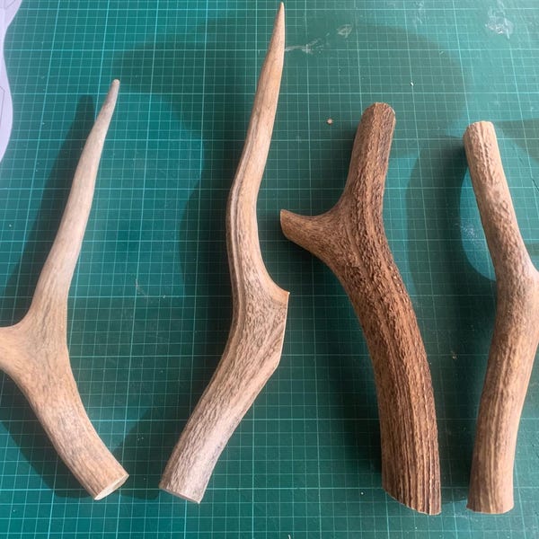 1 Kg / Sizes From 10-50 Cm / 2-20 Pieces / Natural Red Deer Antlers ...