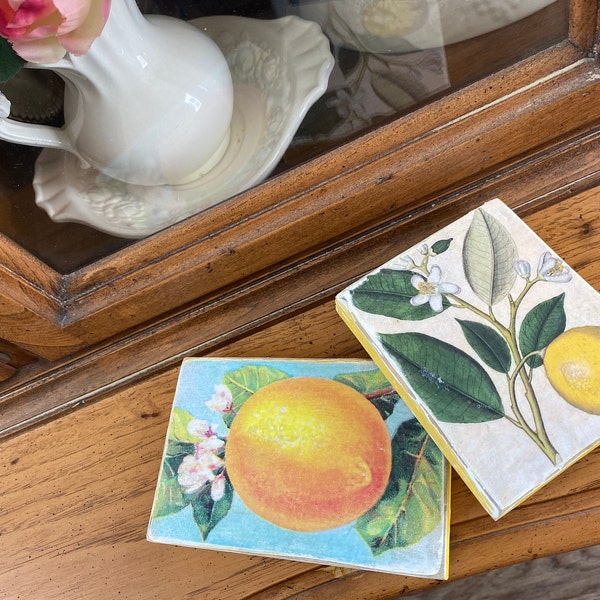 Vintage Monarch Butterfly Matches Matchbox Set of 3 Farmhouse ...