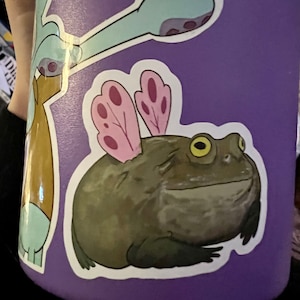 Grumpy Frog Birthday Card Frog Lover Birthday Greeting Card | Etsy