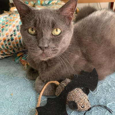 Twist Tie Toy, Natural Cat Toy, Cat Toss Toy, Twistie Toy, Toys for ...