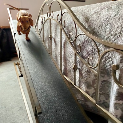 Doggoramps Small Dog Ramp for Bed including Tall Beds - Etsy