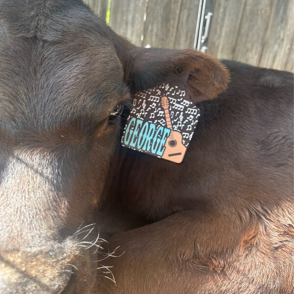 Custom Cattle Ear Tag UV Printed Full Color Weatherproof Personalized ...