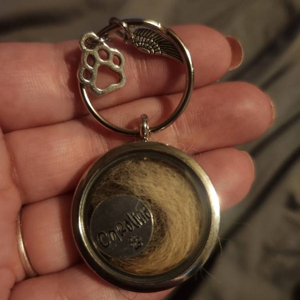 Pet Fur Jewelry Keepsake Keychain ,pet Memorial Locket Loss of Pet ...